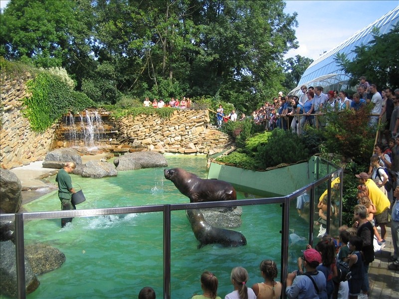 ZOO VELMOC - VELKÝ PŘEHLED :: TIP MAGAZIN